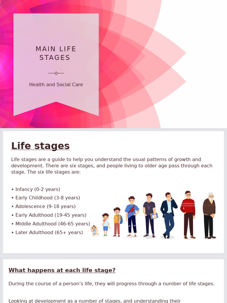 KS4 Health and Social Care Component 1 - Life Stages and PIES | PDF ...