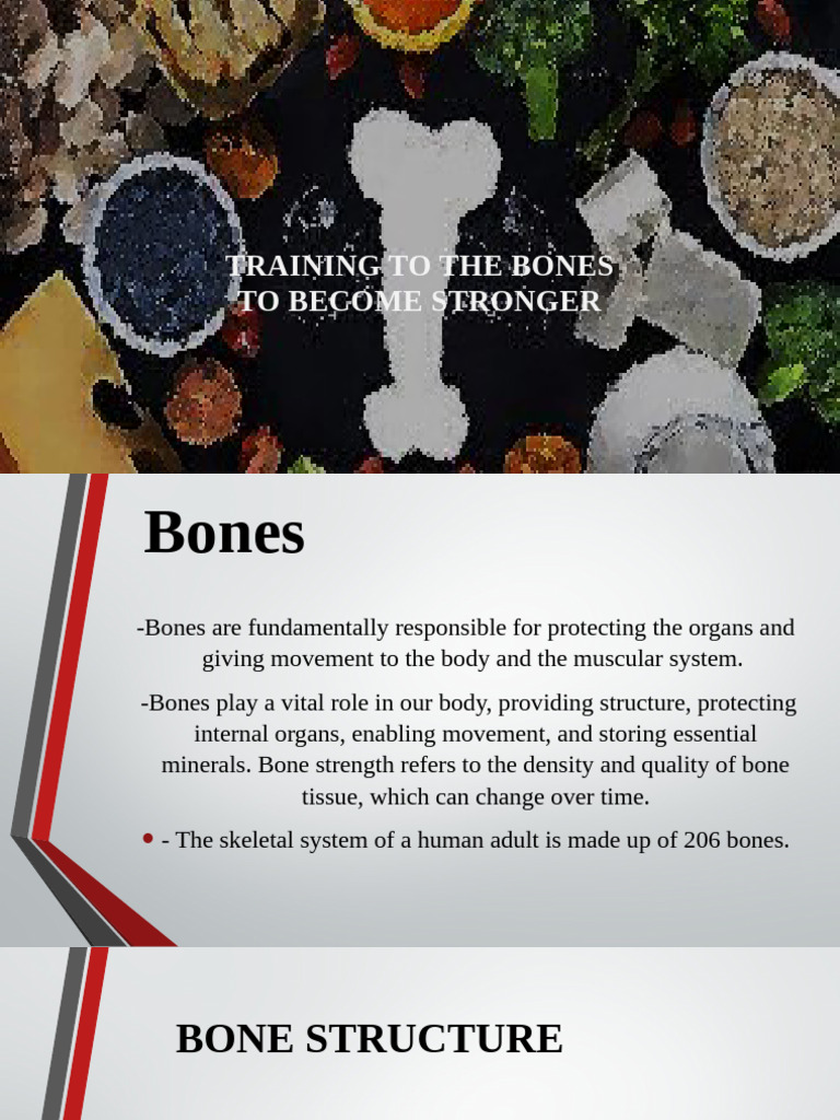 Training To The Bones To Become Stronger | PDF | Bone | Osteoporosis