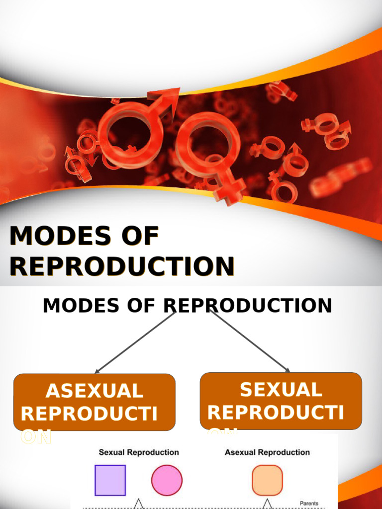 Modes of Reproduction | PDF