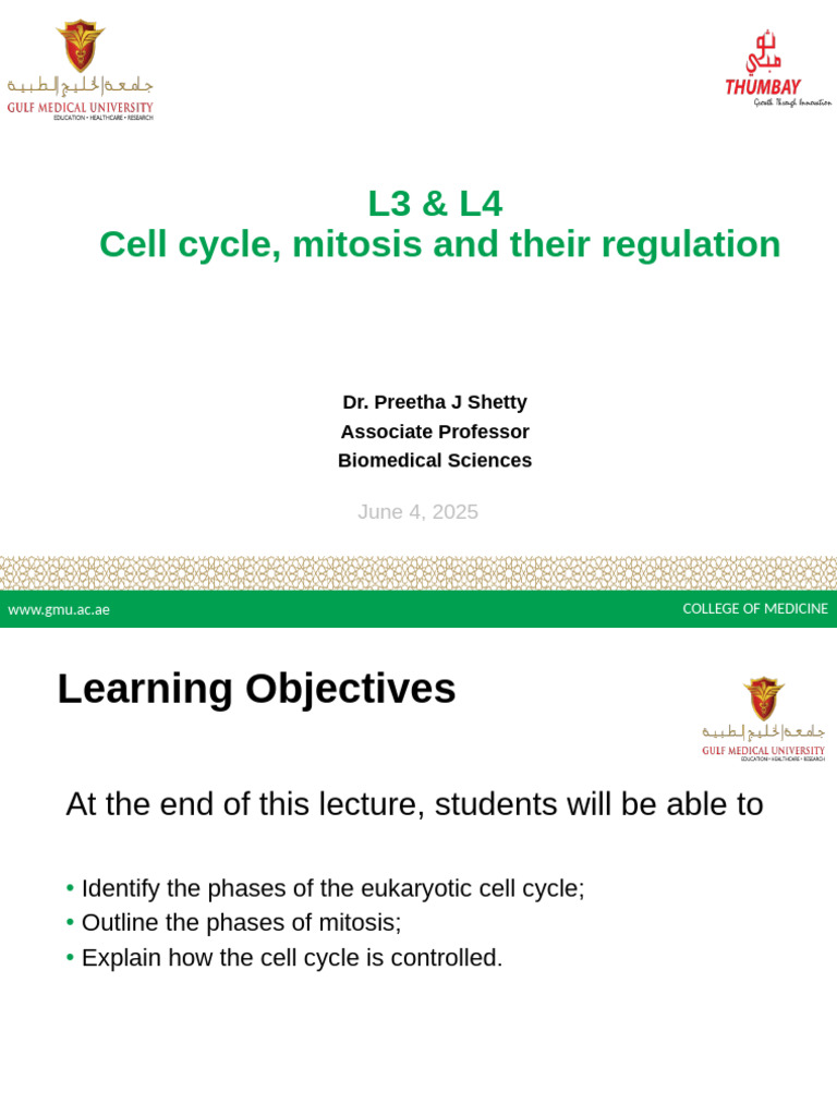 L3 L4 - Cell Cycle Mitosis, Their Regulation | PDF | Cell Cycle | Mitosis