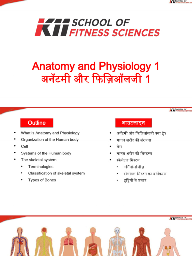 Anatomy and Physiology 1 | PDF
