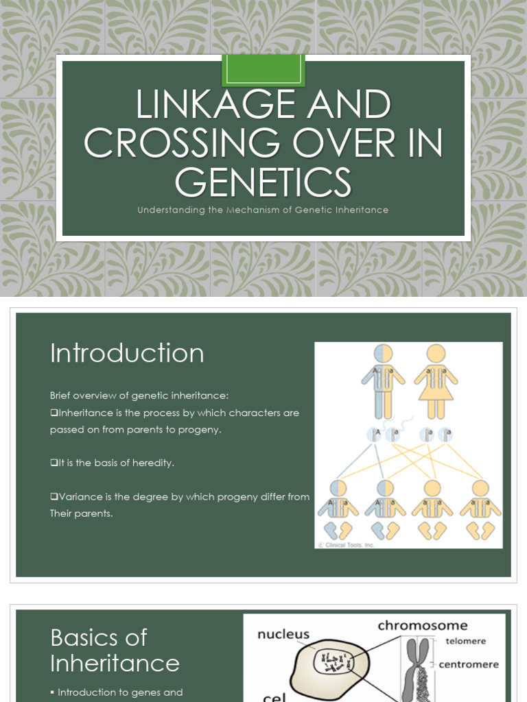 Linkage and Crossing Over in Genetics | PDF | Genetic Linkage | Meiosis
