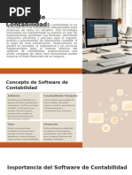 Conclusión Softwares Contables | PDF
