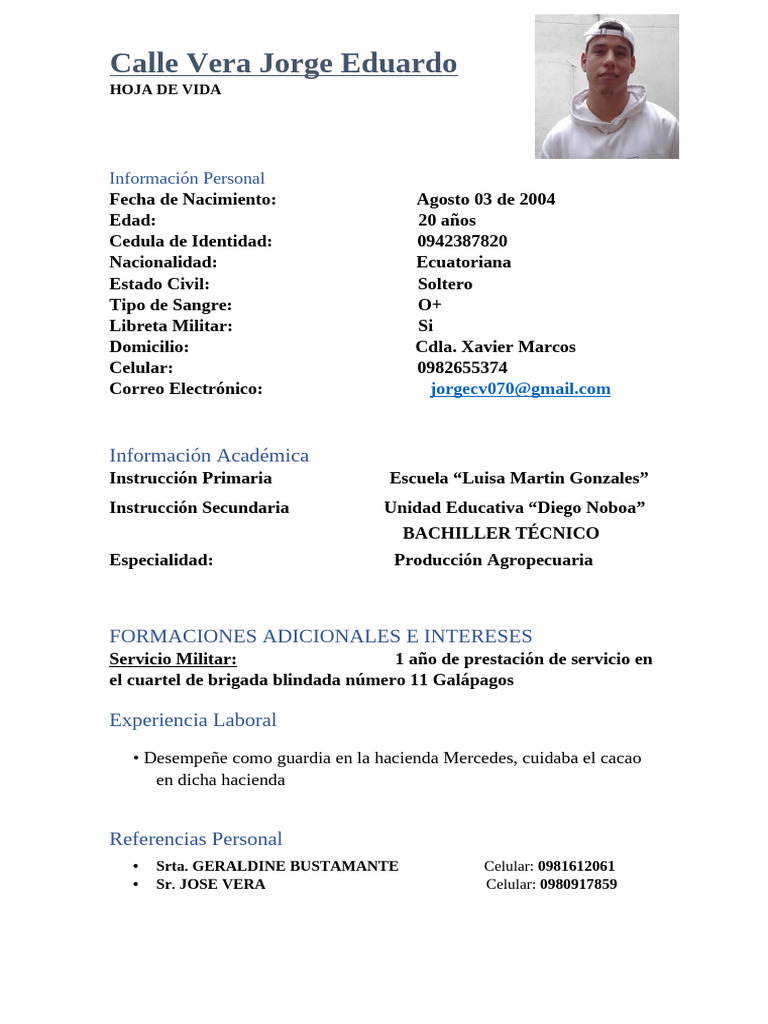 Curriculum Jorge Calle | PDF