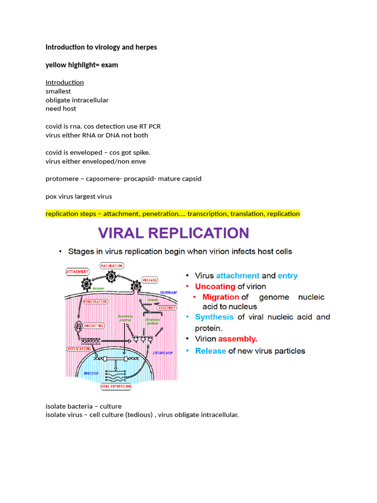 Introduction To Virology and Herpes | PDF