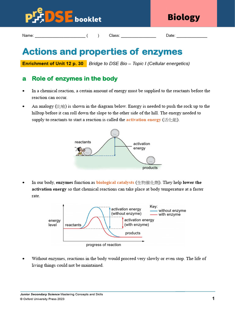 Enzymes and Metabolism Ex | PDF | Enzyme | Active Site