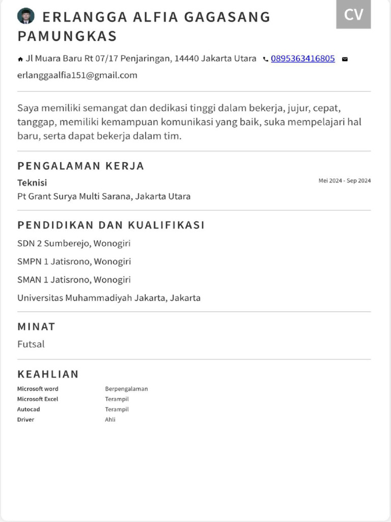 CV - Erlangga Alfia | PDF