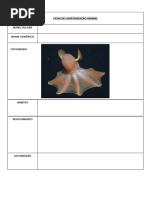 Anatomia e Reprodução do Polvo | PDF | Polvo