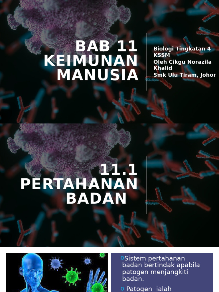 BIO T4 KSSM BAB 11 Keimunan Manusia Zila Khalid ) | PDF
