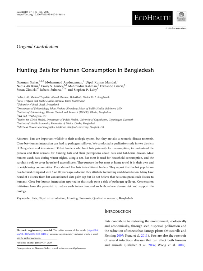 Bat Hunting for Food in Bangladesh | PDF | Bat | Hunting