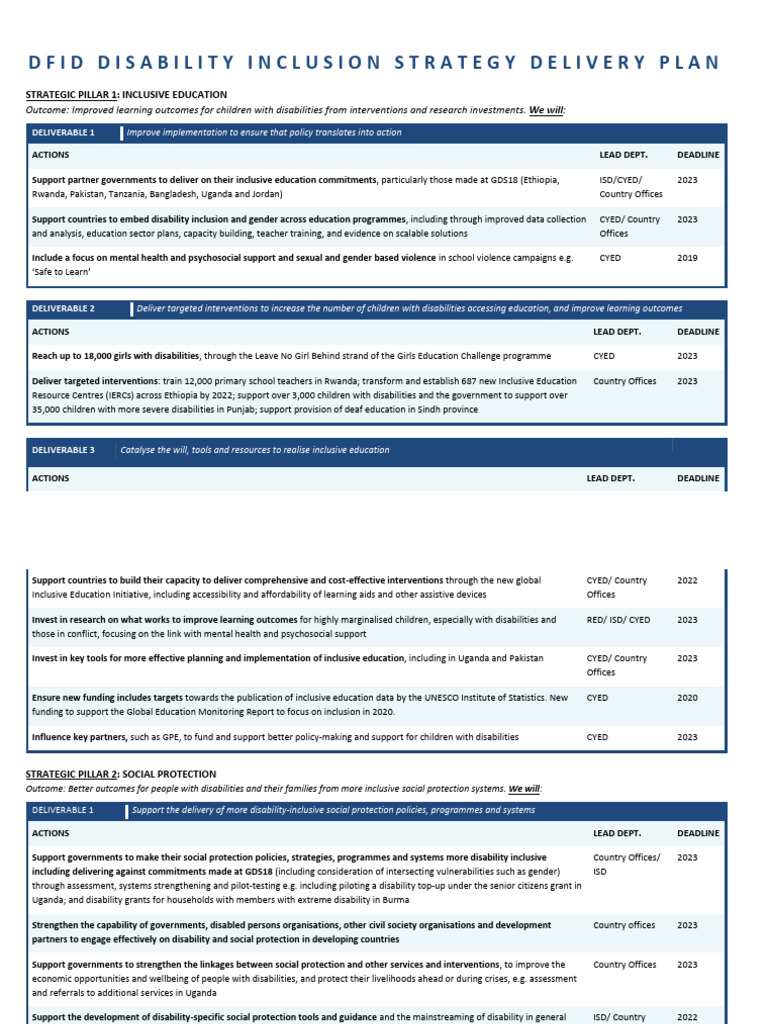 Disability Inclusion Strategy | PDF | Humanitarian Aid | Inclusion ...