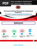 Xalayaa Deeggarsaa | PDF