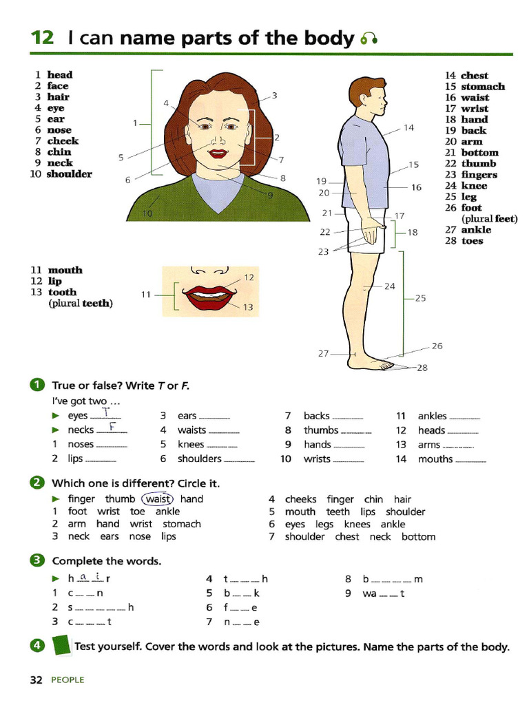 Oxford Word Skills Basic Unit 12 | PDF