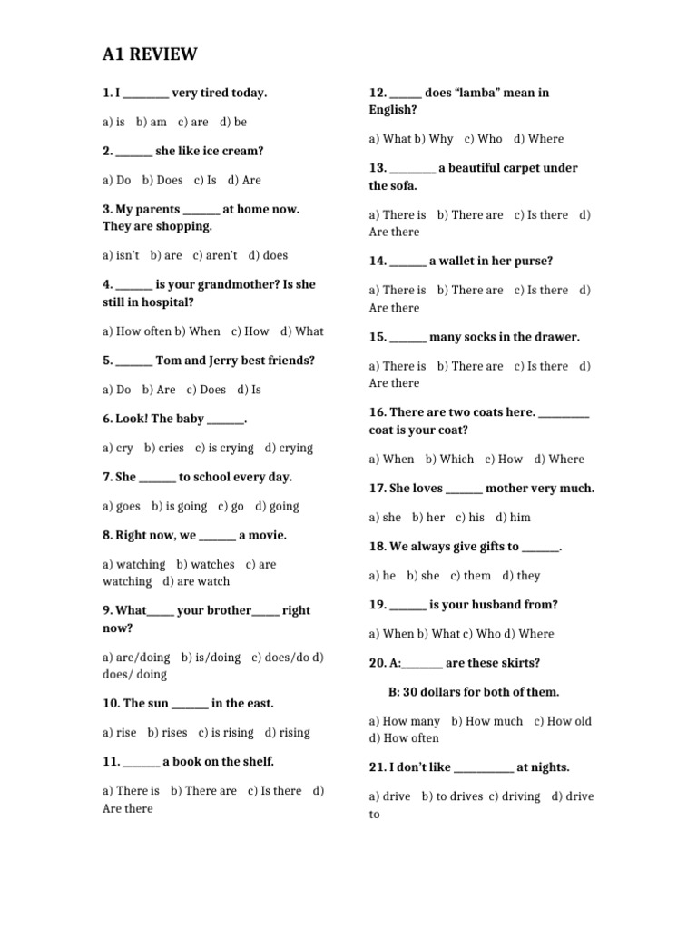 A1 English Grammar Review Quiz | PDF