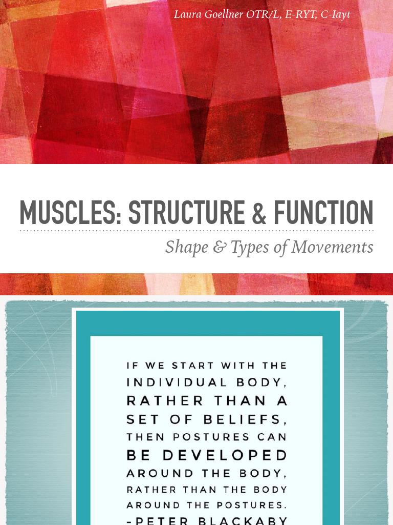 PDF EE Muscles Type Structure and Shapes | PDF | Muscle | Muscle ...