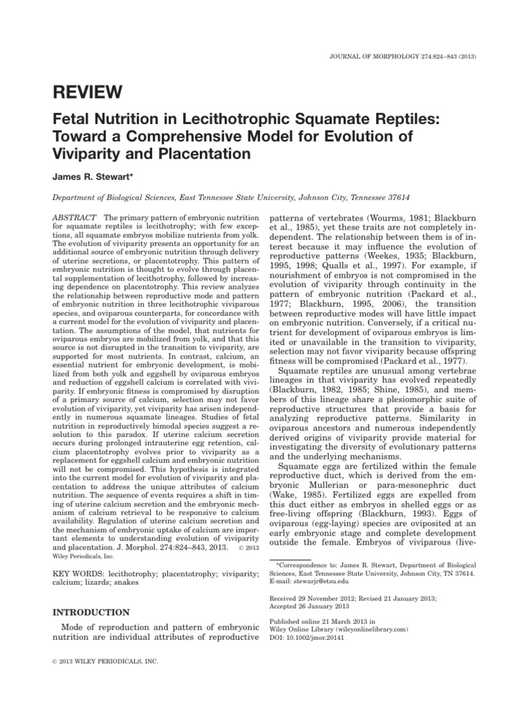 Fetal Nutrition in Lecithotrophic Squamate Reptiles - Toward A ...