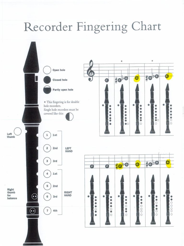 Fingersetting Chart | PDF