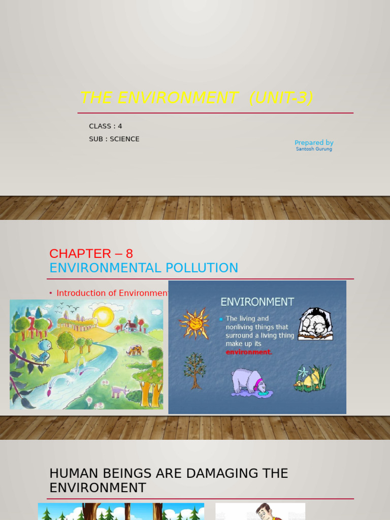 Understanding Environmental Pollution | PDF