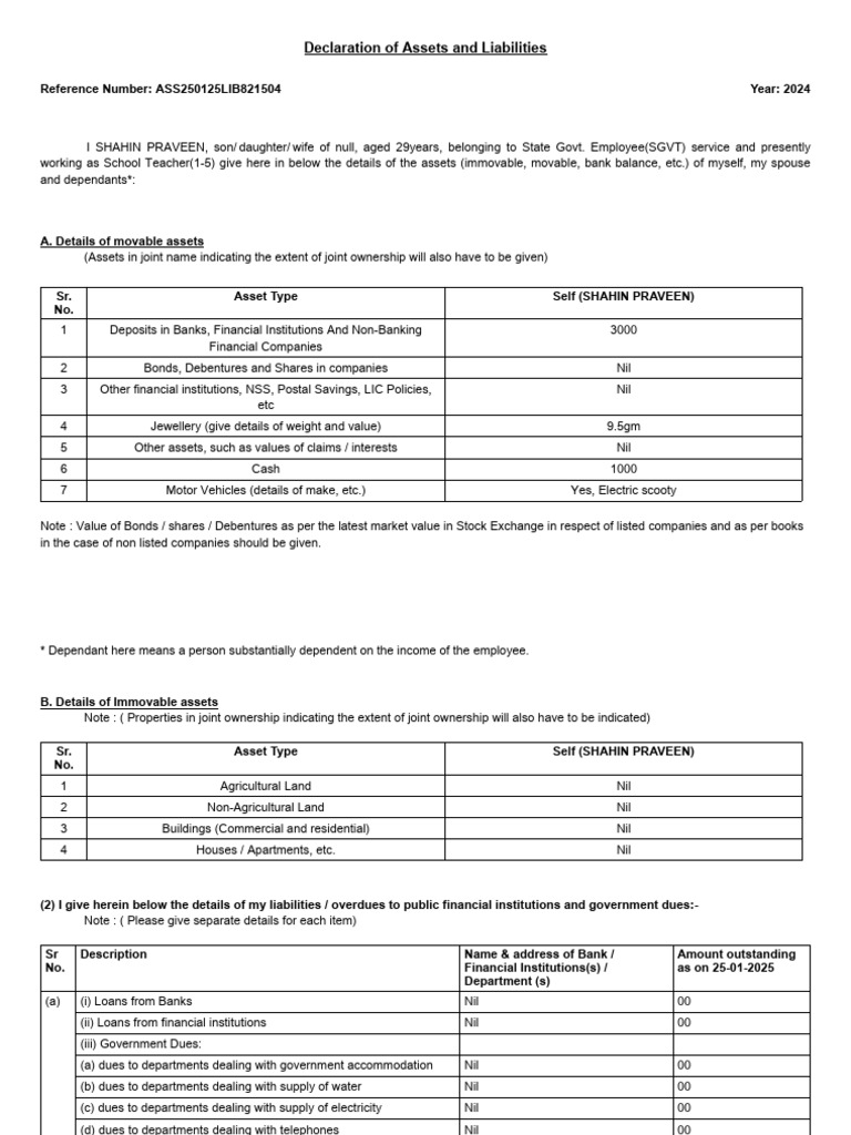 Asset Declaration Form 2024 | PDF | Government Finances | Financial ...
