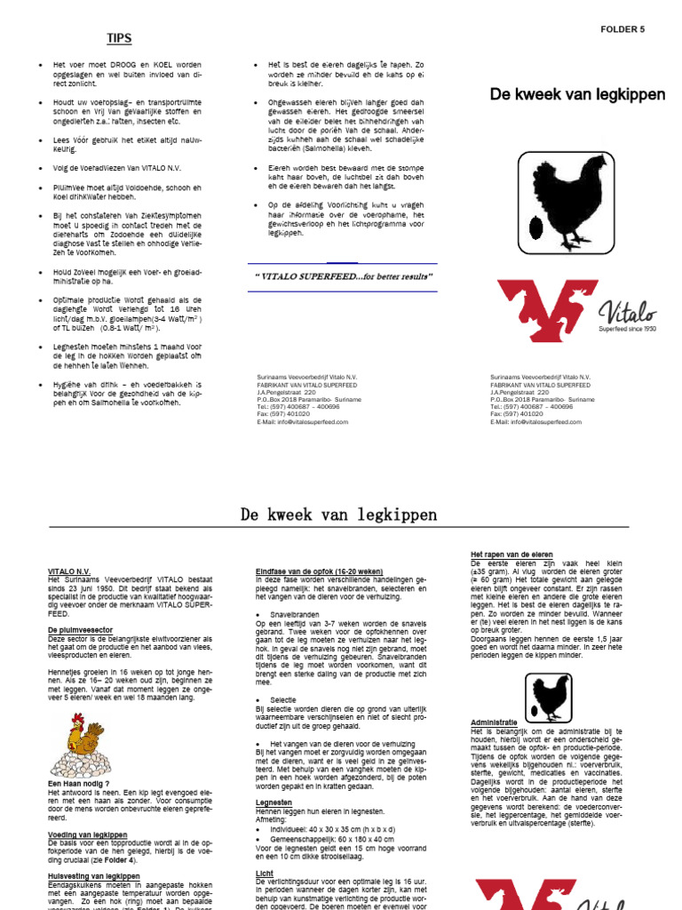 Kweek Van Legkippen Folder 5 | PDF