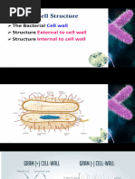 Metachromatic Granules in Bacteria | PDF | Bacteria | Cell (Biology)