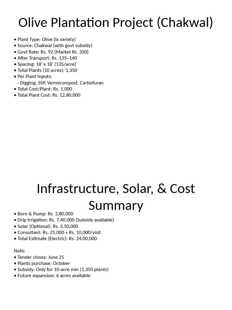 Olive Plantation Presentation | PDF