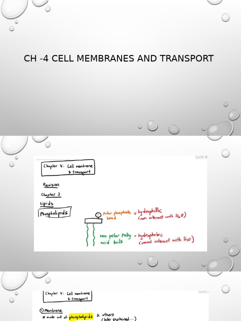 Ch -4 Cell Membranes and Transport as Bio | PDF