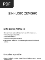 Isakhiwo Senkondlo: Izimpawu Nezici | PDF