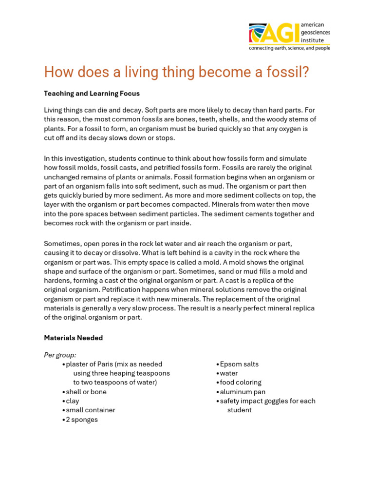 How Fossils Form: A Classroom Guide | PDF | Fossil | Rock (Geology)
