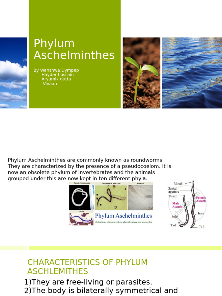 Class 9b (Group 3) | PDF