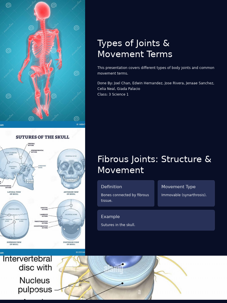 Types of Joints and Movement Terms 3 Sci 1 | PDF | Anatomical Terms Of ...