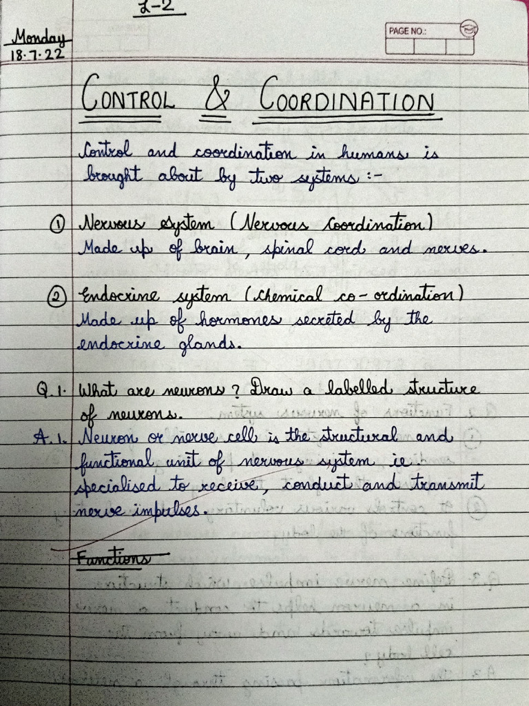 Control and Coordination- Biology Class 10th (1) | PDF