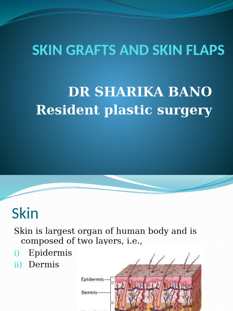 Skingraftsandskinflaps 160209130515 | PDF | Skin | Anatomy