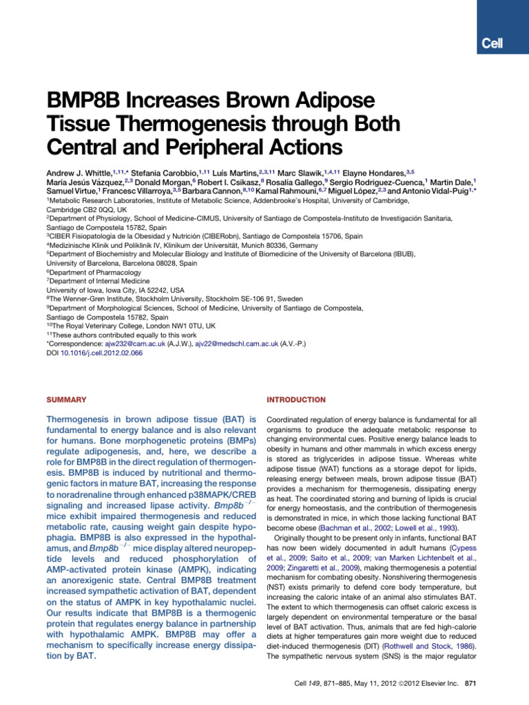 ,DanaInfo awxyCwholvloou4sr9Qu76+mmc2 | PDF | Adipocyte | Adipose Tissue