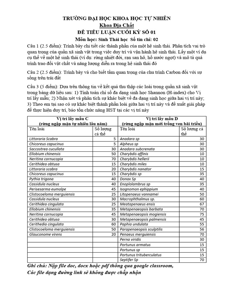 De Thi Tieu Luan Cuoi Ky STH - K68 | PDF