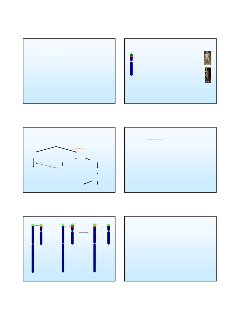 Genetics of Infertility PEL DOSSIER | PDF | Reproduction | Genetics