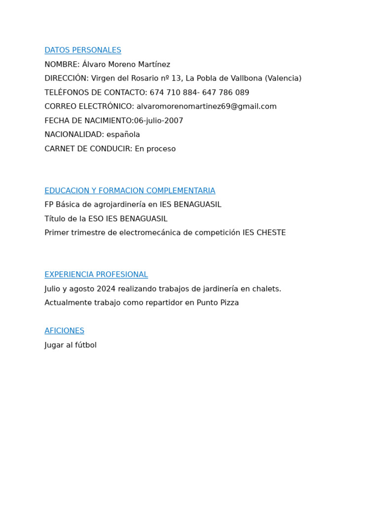 Curriculum Alvaro | PDF
