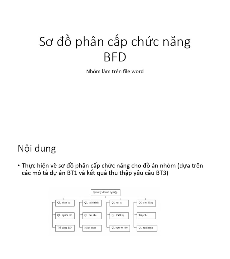 Sơ Đ CH C Năng BFD | PDF