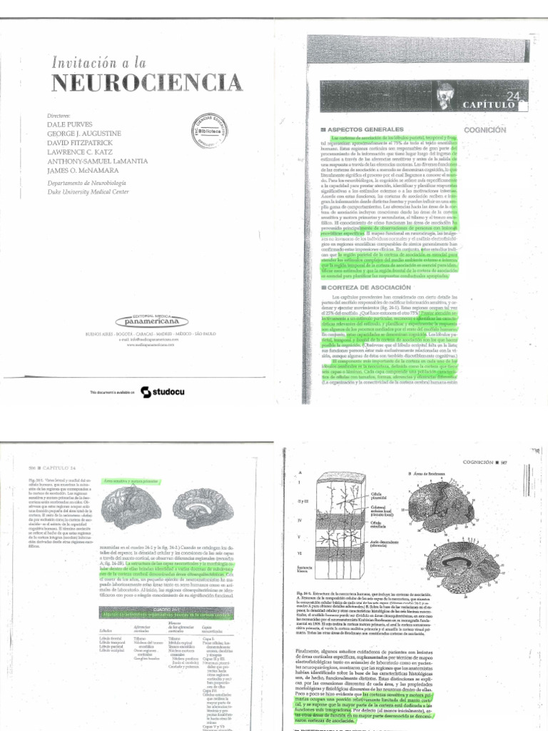 Lomoarcpsd - 56136959 Lomoarcpsd - 56136959 | PDF