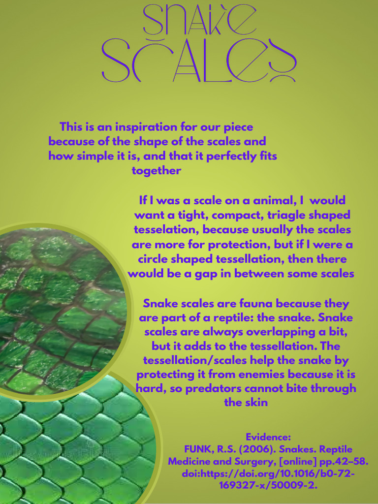 VA Project Tessellation Snake Scales | PDF