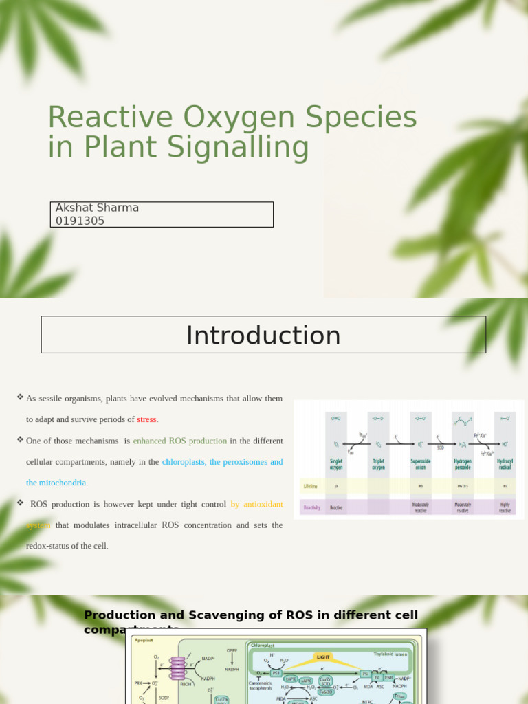 Ros Signalling in Plants | PDF | Reactive Oxygen Species | Cell (Biology)