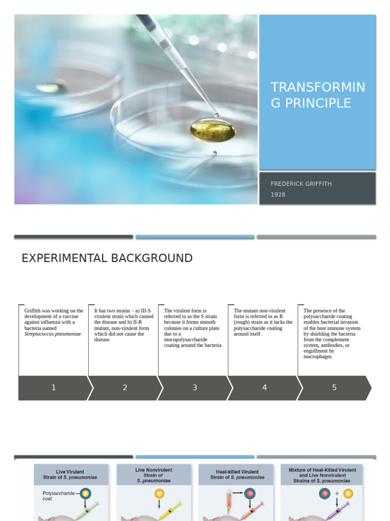 Transforming Principle | PDF