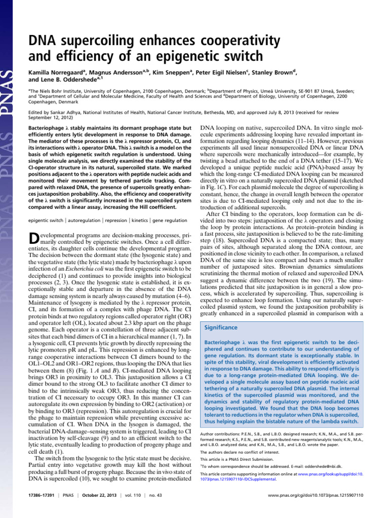 DNA Supercoiling Enhances Cooperativity | PDF | Dna | Molecular Biology