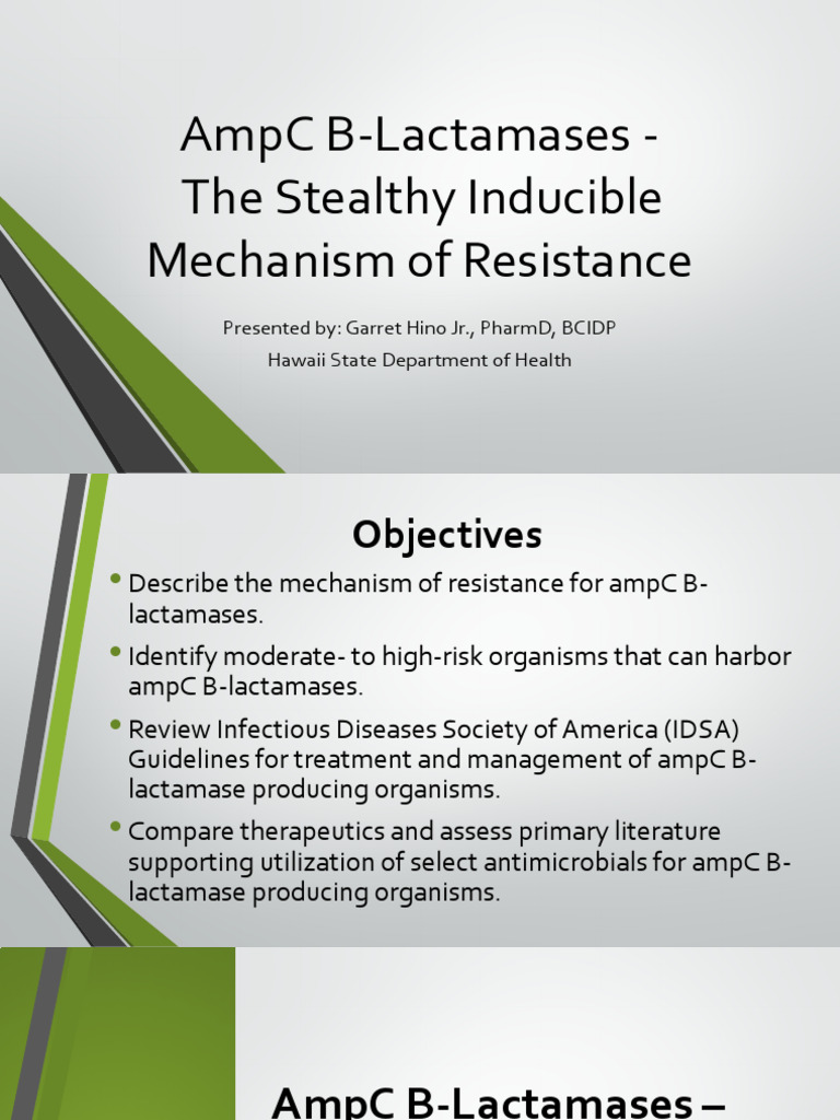 Understanding AmpC B-Lactamases | PDF | Beta Lactamase | Microbiology