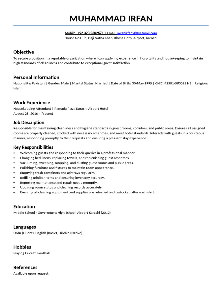 Irfan CV 2025 | PDF