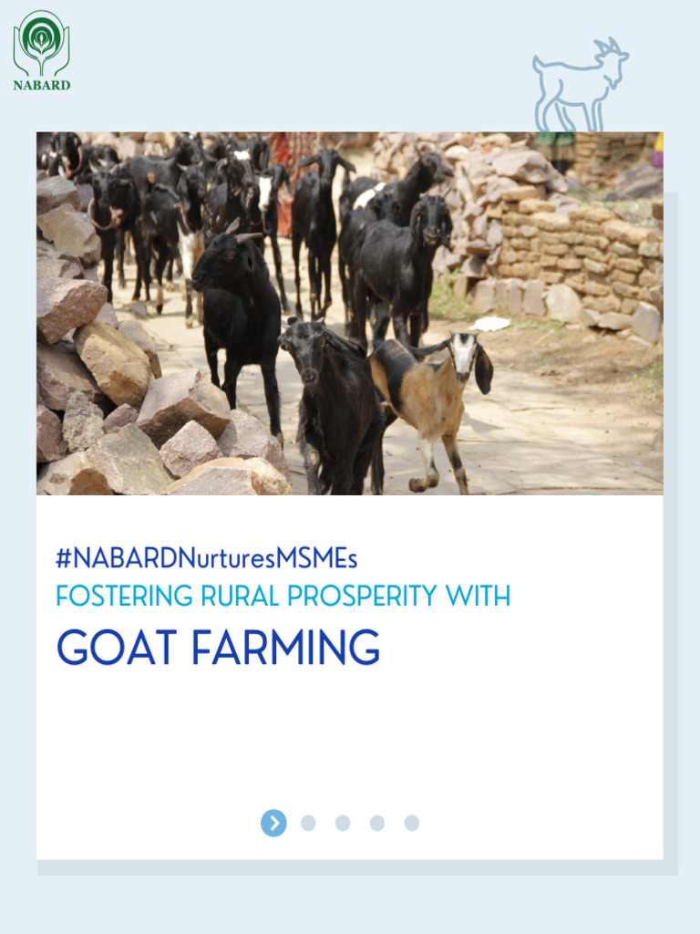 Nabard MSMEs Goat Farmrming | PDF
