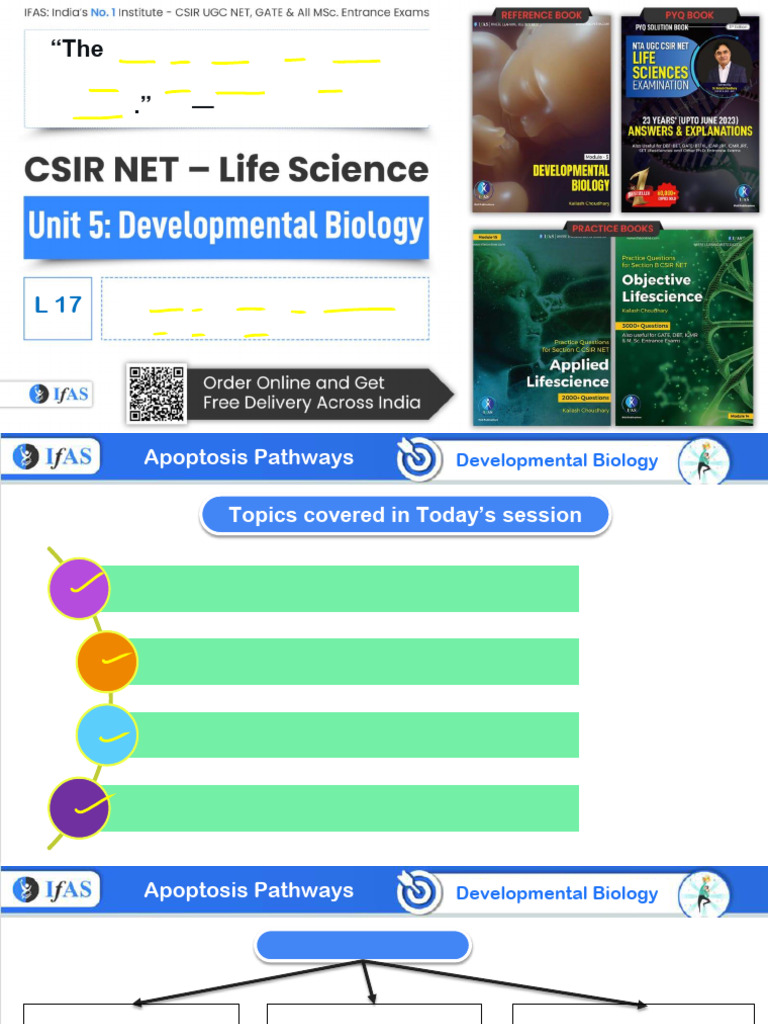 103 Devlopmental Biology l17 Apoptosis, Extrinsic and Intrinsi | PDF | Apoptosis | Caspase