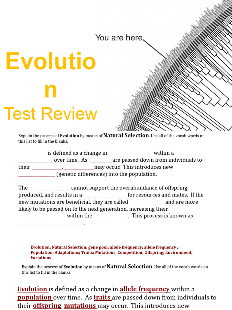 Evolution Test Review 2022 | PDF | Evolution | Dominance (Genetics)