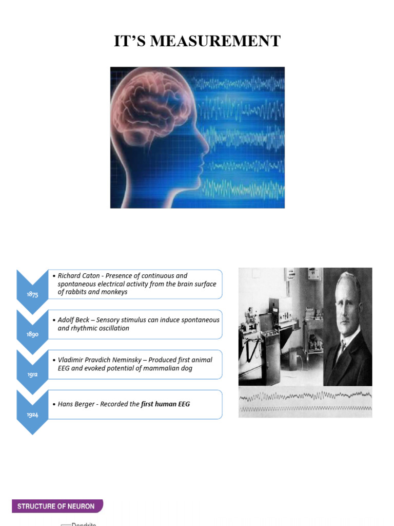 Basics of Eeg and Fundamentals of It'S Measurement | PDF ...