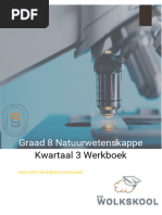 Gr7 Platinum Afrikaans HT Workbook | PDF